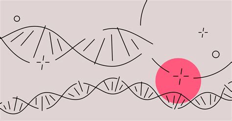 Prenatal Genetic Testing Who May Need It And Why