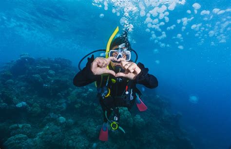 8 Boat Dives Package Sindbad Group Jordan