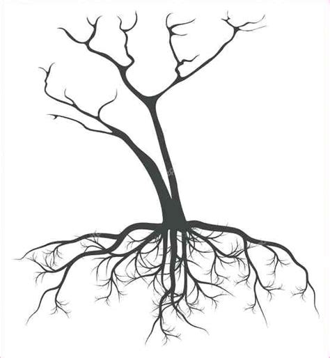 Tree And Roots Drawing At PaintingValley Com Explore Collection Of Tree And Roots Drawing