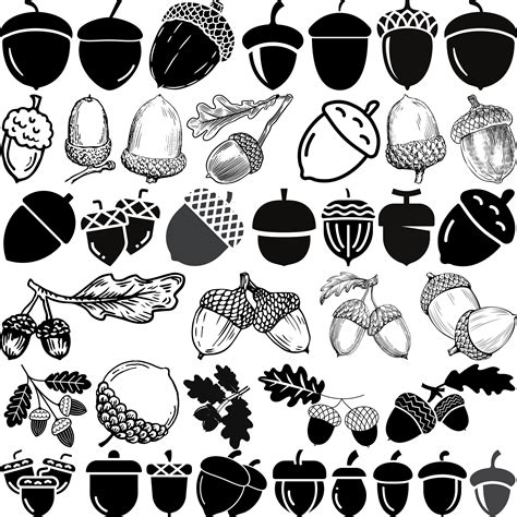 Acorn Svg Bundle Acorn Clipart Fall Svg Acorn Files For Cricut