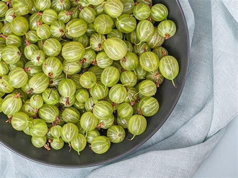 6 Emerging Benefits Of Amla Juice