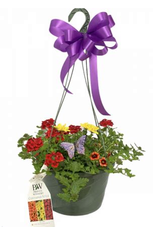 Lewiston Florist Lewiston Me Flower Shop Blais Flowers And Garden Center
