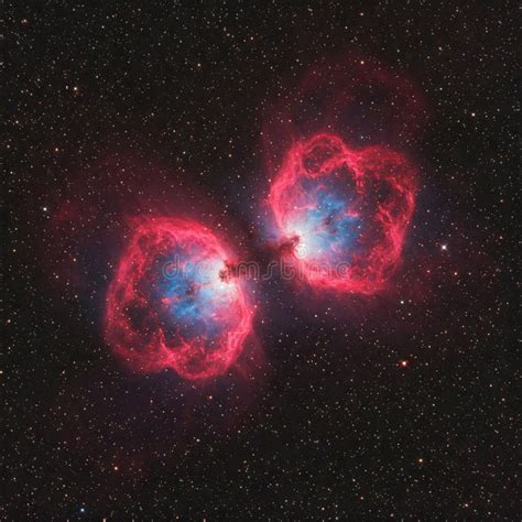 Bipolar Structure Stock Illustrations 539 Bipolar Structure Stock Illustrations Vectors