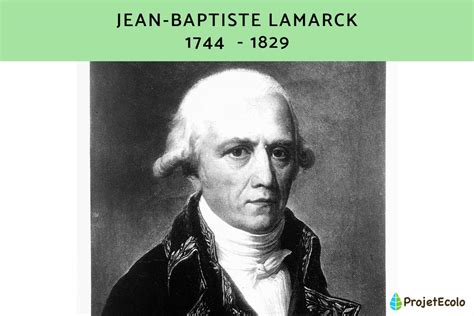 ThÉorie De Lamarck Pourquoi La Théorie De Lamarck Nest Plus Admise