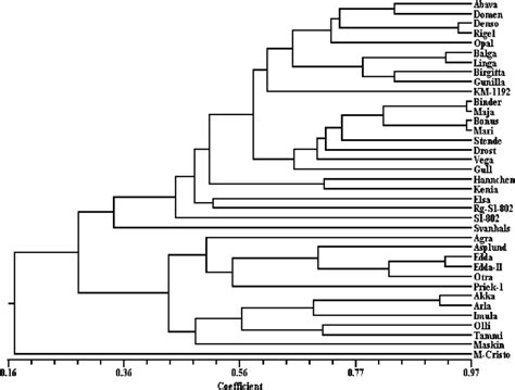 Dendrogram Reflecting The Genetic Distances Among 37 Barley Varieties Download Scientific
