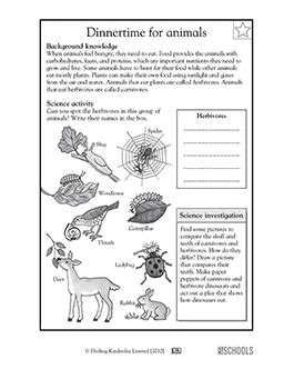 4th Grade Science Worksheets Word Lists And Activities Greatschools