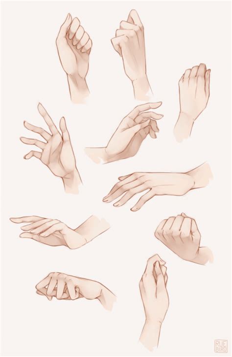 45 Best Female Hand Reference Ideas Hand Reference How To Draw Hands
