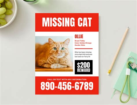 Missing Cat Flyer Kit Lost Cat Poster Set Social Media Package