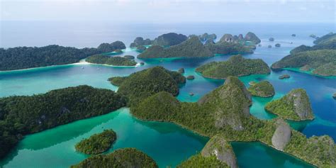 Kkp Berhasil Lindungi Populasi Pari And Hiu Wisata Bahari Raja Ampat