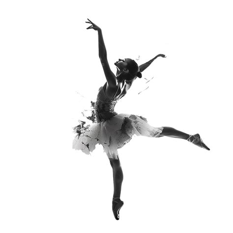 Danser Silhouet Arabesque
