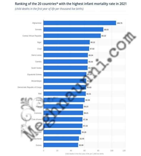 Cbse Class 12 Applied Mathematics Project Predicting Mortality Of Infants