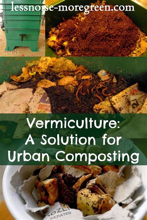 Vermiculture Composting Solution For Urban Gardens