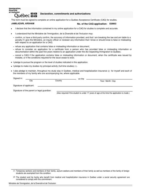 Declaration Commitments And Authorizations Pdf Passport