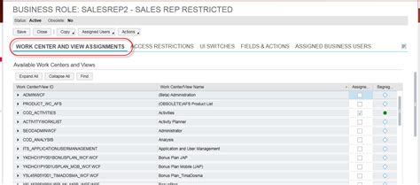 What Ive Learned About Business Roles And Access Sap Community