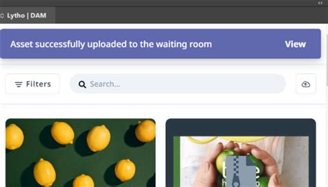 Adobe Creative Cloud Plugin Asset Manager Lytho Support