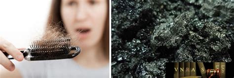 Tóc Rối Huyết Dư Thán Những Cây Thuốc Và Vị Thuốc Việt Nam Đỗ Tất