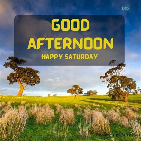 25 Good Afternoon Saturday Images And Quotes 2025
