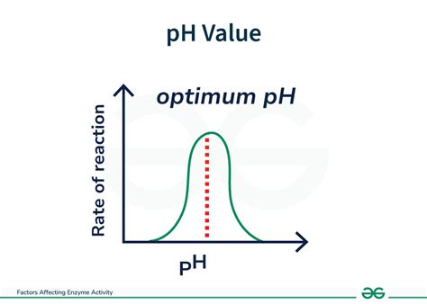 Factors Affecting Enzyme Activity Geeksforgeeks