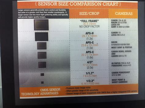 Camera Sensor Size Comparison Chart