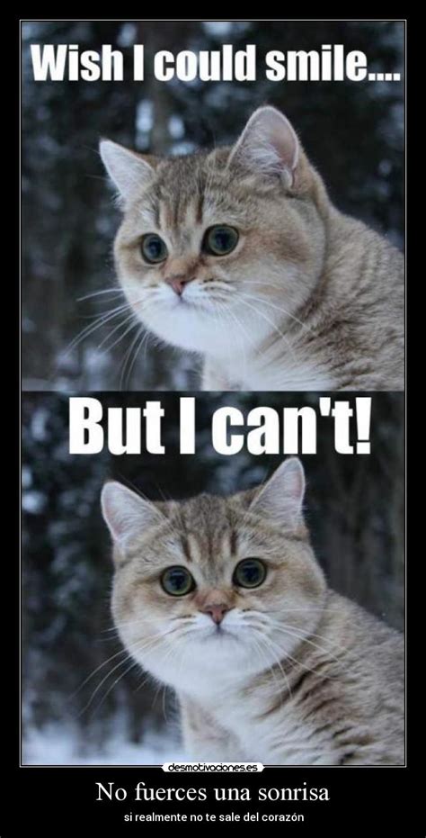 Imágenes Y Carteles De Forzada Desmotivaciones