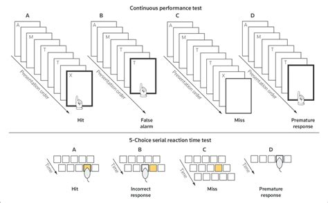 Depiction Of The Cpt And 5 Csrtt Download Scientific Diagram