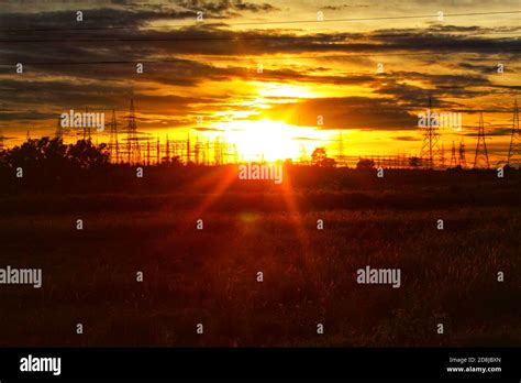 Beautiful Nature Backlit Photography During Evening Backlit Photo For