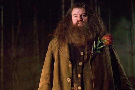 Download Funny Harry Potter Hagrid With Flower Picture | Wallpapers.com
