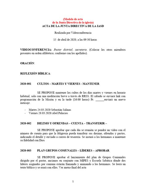 Modelo De Acta Pdf