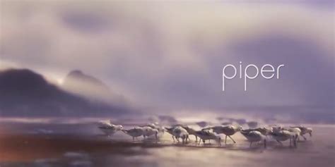 Assista Piper O Novo Curta Da Pixar Acesso Geek