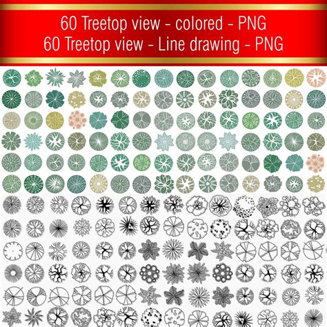 Best 11 Tree Plan Png Image Tree Symbols Tree Landscape Elements