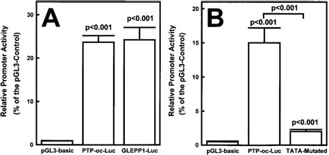 The Basal Promoter Activity Of The Putative Ptp Oc Proximal Promoter In Download Scientific