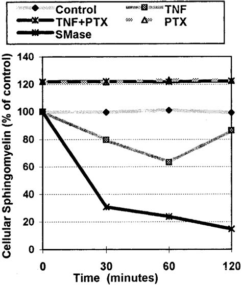 Pretreatment Of Cells With Ptx Inhibits Tnf A Induced De Download