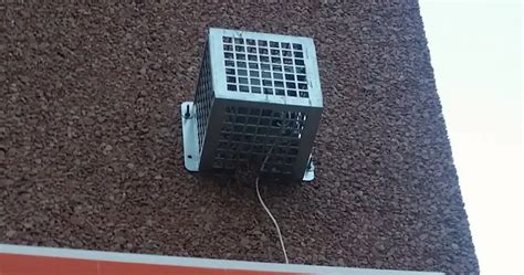 Mosquito Sound Repellent Does It Really Work Critter Stop