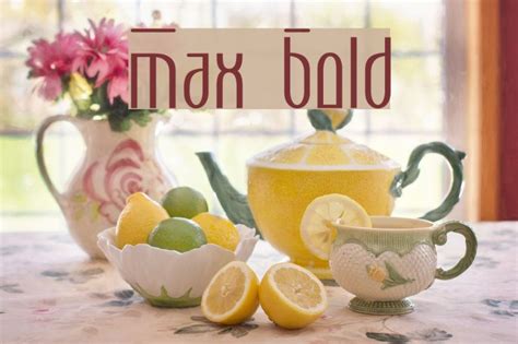 Max Bold Font