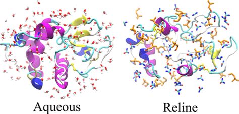 纯净水合的线型深共晶溶剂如何影响溶菌酶的构象和稳定性：原子分子动力学模拟的见解the Journal Of Physical Chemistry B X Mol