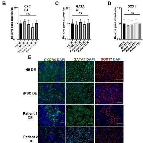 Differentiation Of Healthy And Ea Tef Patient Derived Pluripotent Stem Download Scientific