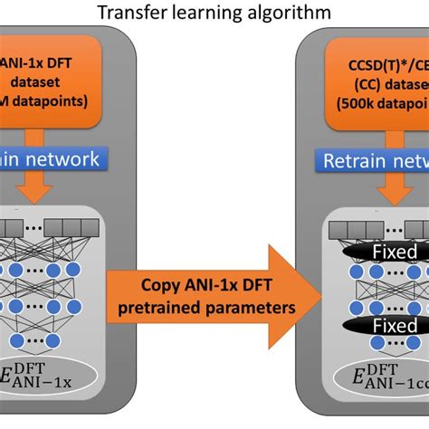Diagram Of The Transfer Learning Technique Evaluated In This Work