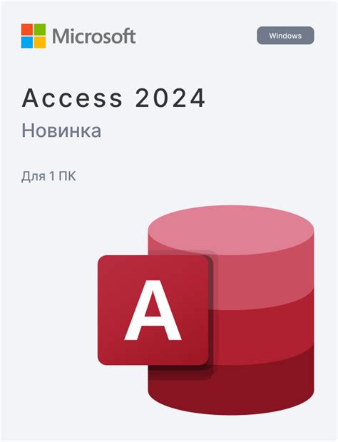 Microsoft Access 2024 Rusoftstore