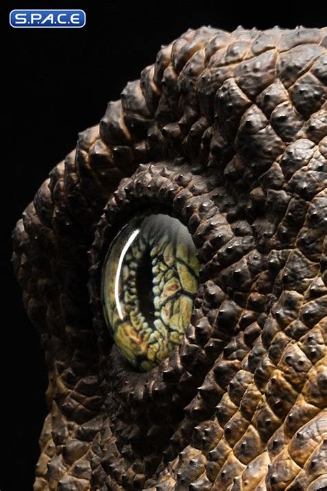 11 Velociraptor Eye Life Size Replica Jurassic Park