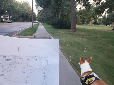 1199 Best Tree Fort Images On Pholder Fort Nite Br Adventuretime And