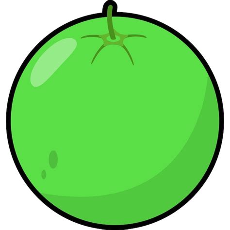 Premium Vector Orange Evolution