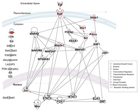 Bioinformatics And Cell Microenvironment Communication Redenti Lab