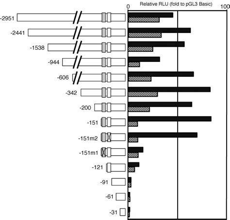 Analysis Of The Promoter Region Of The Human 3gal T5 Gene Using