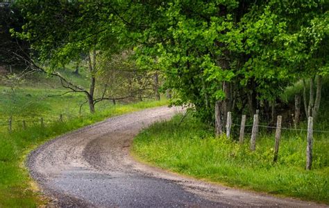 Premium Photo Road Passing Through Trees