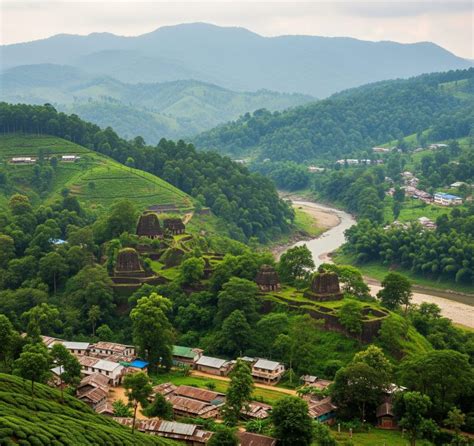 Unmasking The 637 Area Code What Every American Should Know