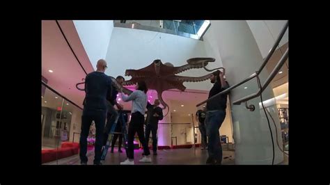 Hanging A 14 Foot Octopus Model Time Lapse Youtube