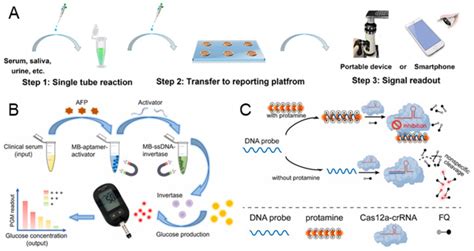 Crispr Based Biosensors For Medical Diagnosis Readout From Detector