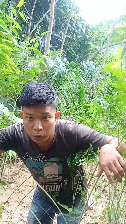 Comedy Numil Nia Youtube