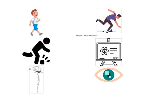 Mekanisme Terjadinya Gerak Refleks Ketika Memakan Makanan Ppt