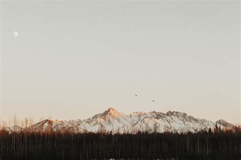 Yamon，分享并热爱生活